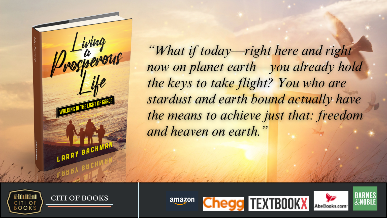 “Living a Prosperous Life: Walking in the Light of Grace” by Larry ...
